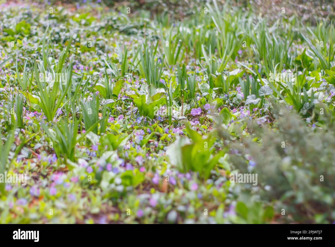Spring in warsaw hi-res stock photography and images - Alamy