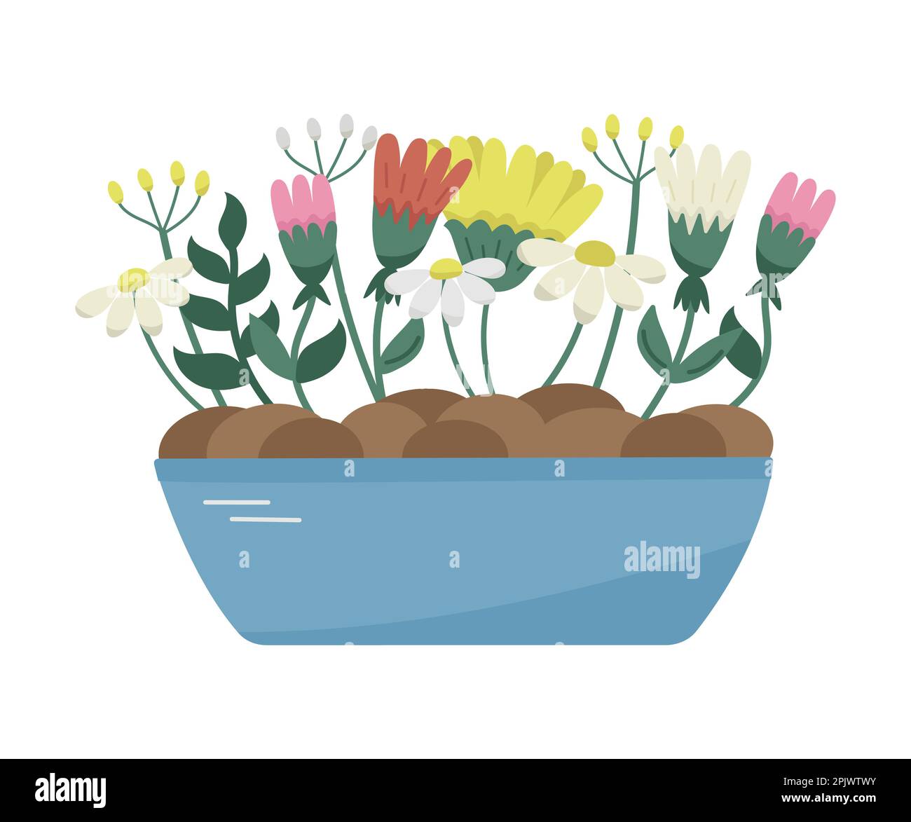 Vector beautiful garden with different flat flowers in flowerbed ...
