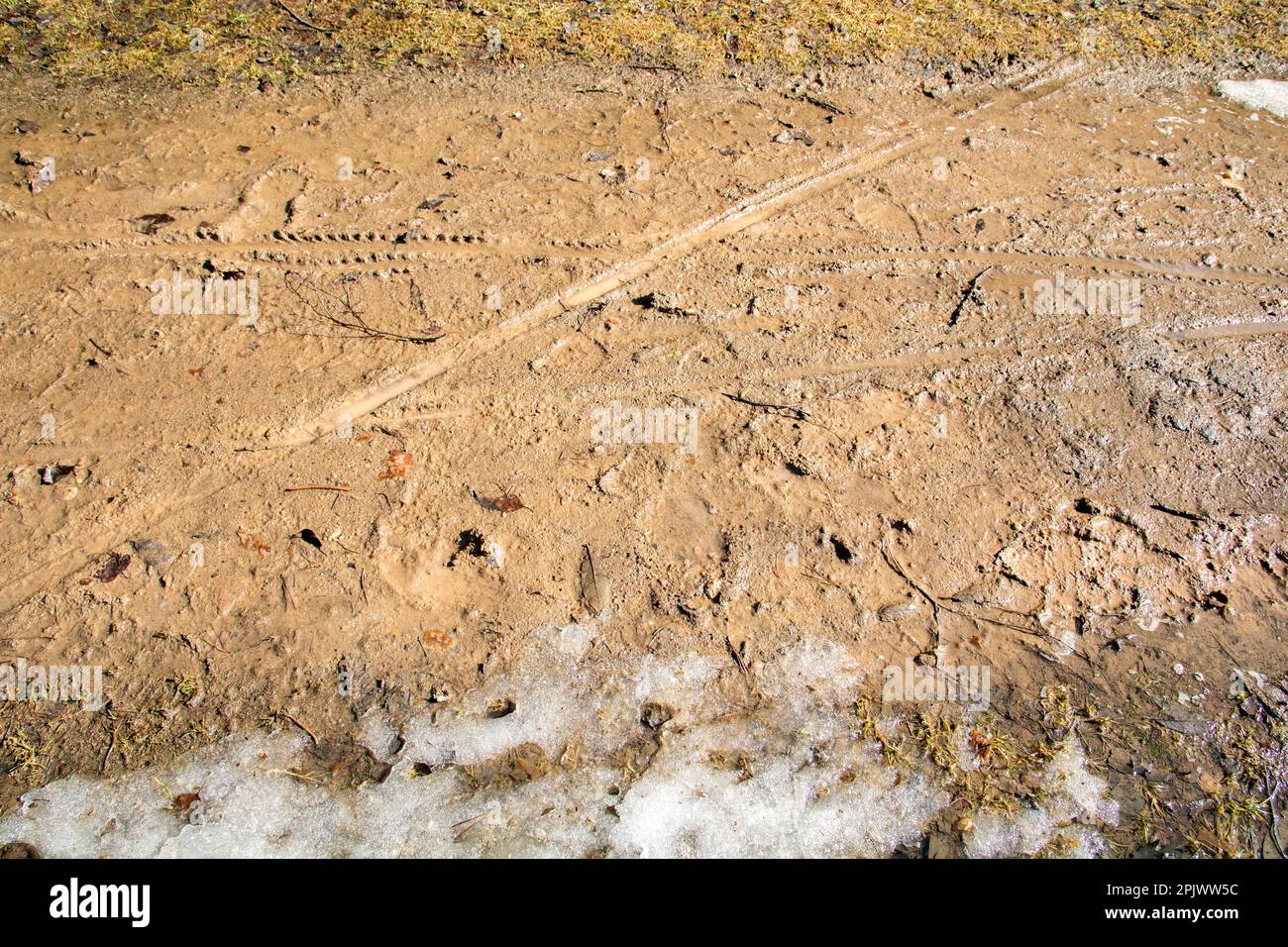 photo mud with tire marks from a bicycle Stock Photo - Alamy