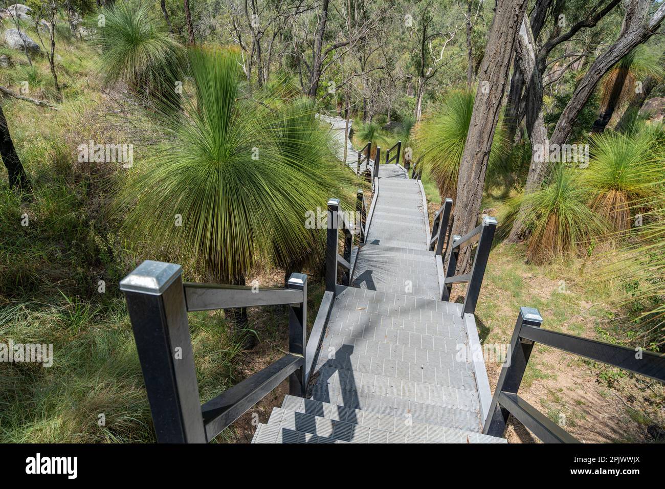 Stairs and walkway made of recycled material, Coomba Falls, Maidenwell ...