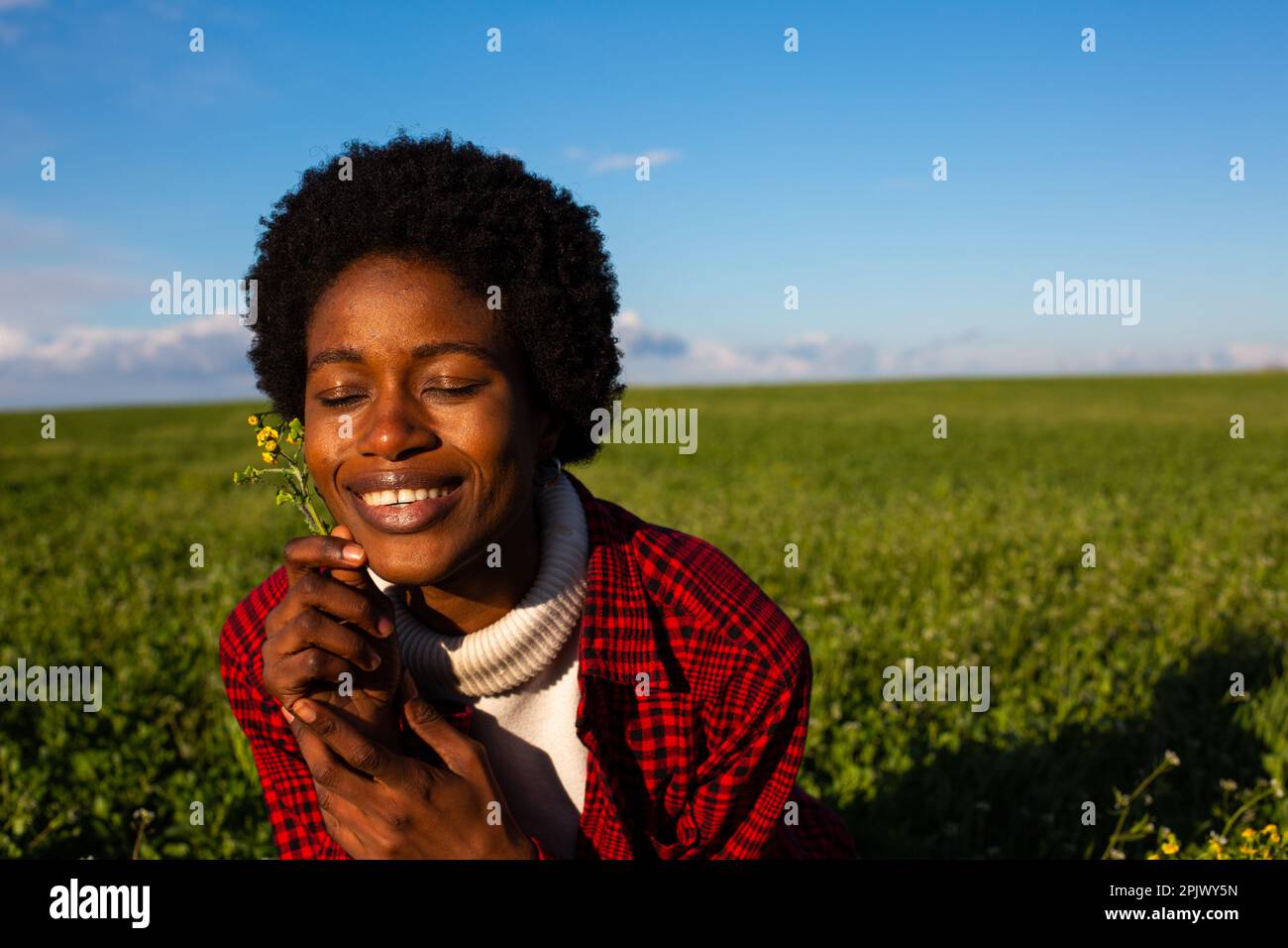 African american meadow flowers hi-res stock photography and images - Alamy