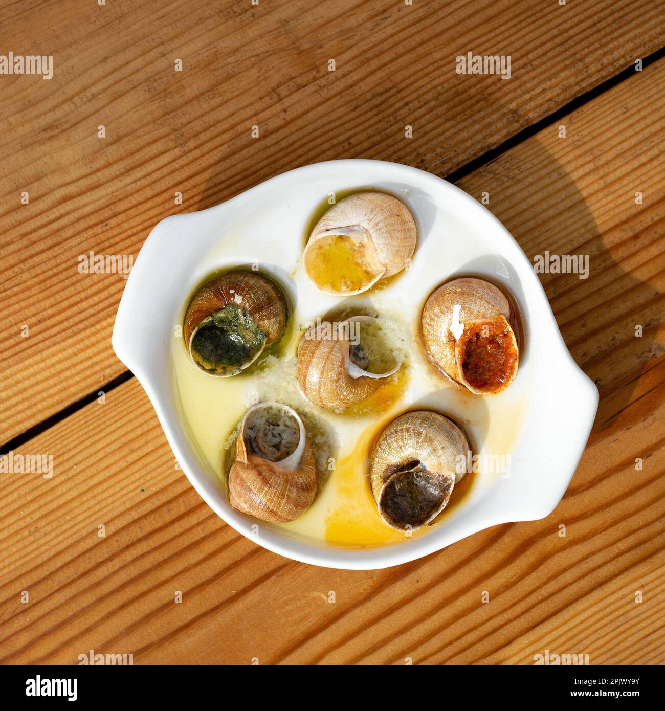 Cooked snails with garlic, tomato, spicy sauce, herbs, white wine on a ...