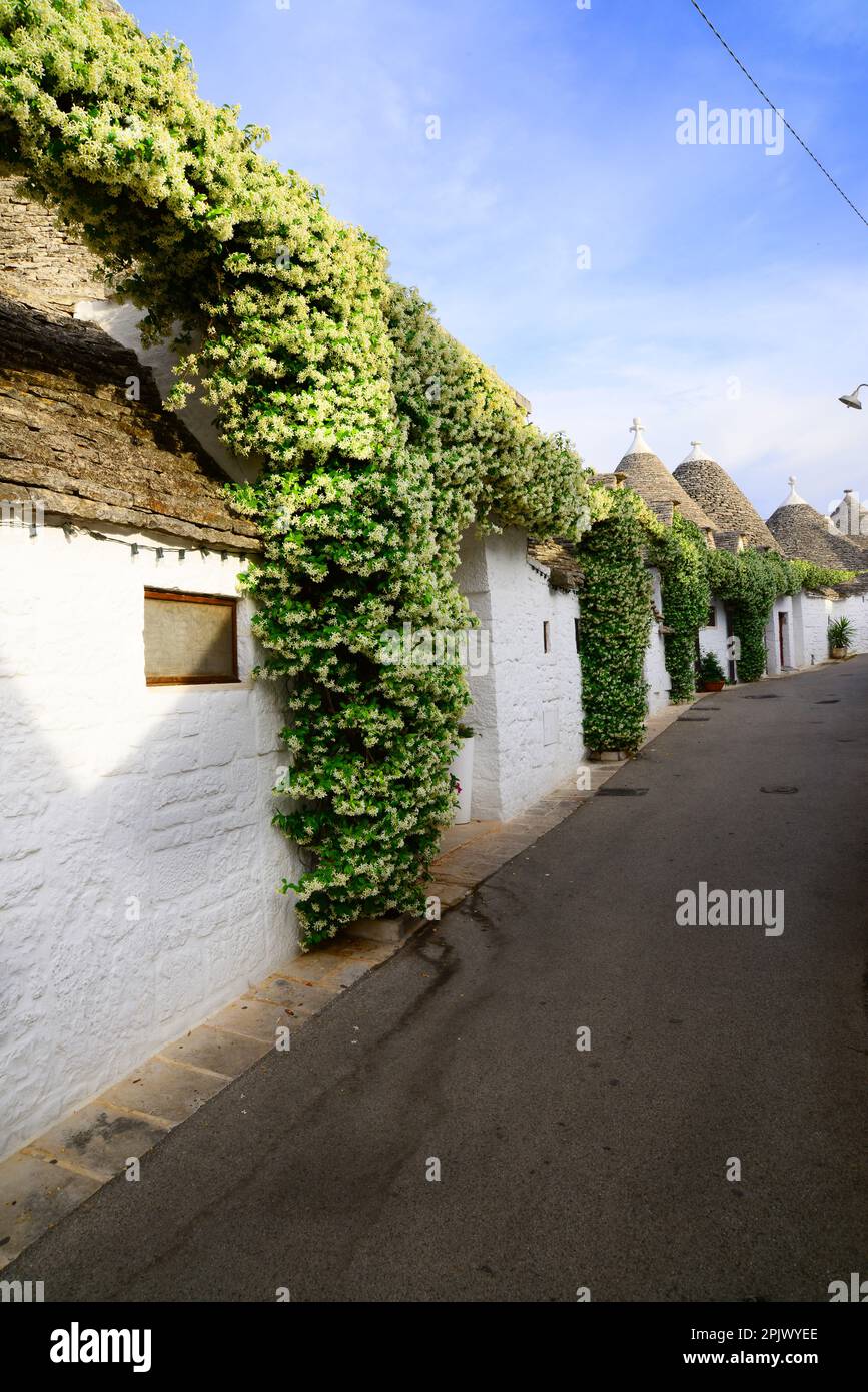 Trullo is a traditional home from the Itria Valley in Puglia. It is ...