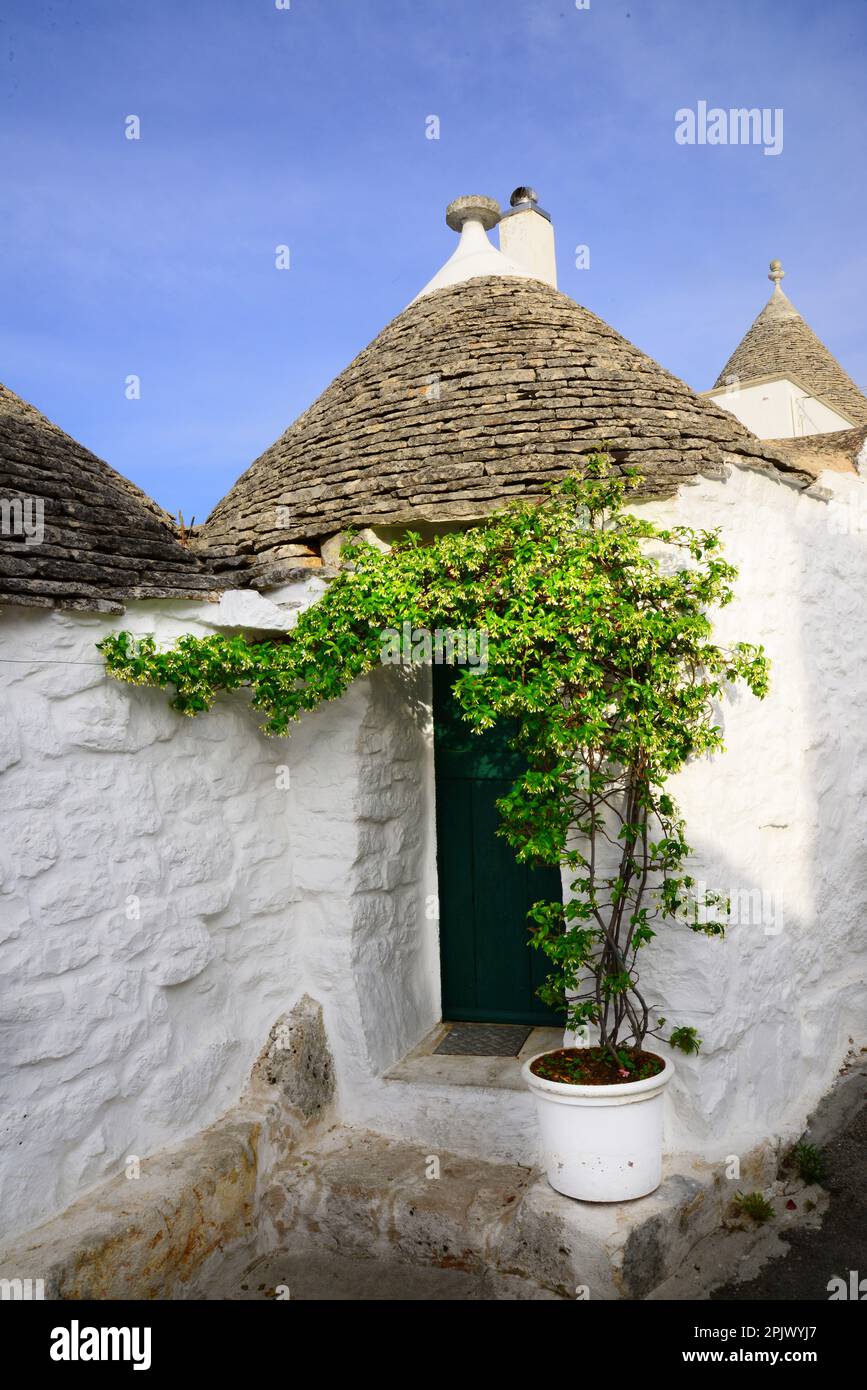 Trullo is a traditional home from the Itria Valley in Puglia. It is ...