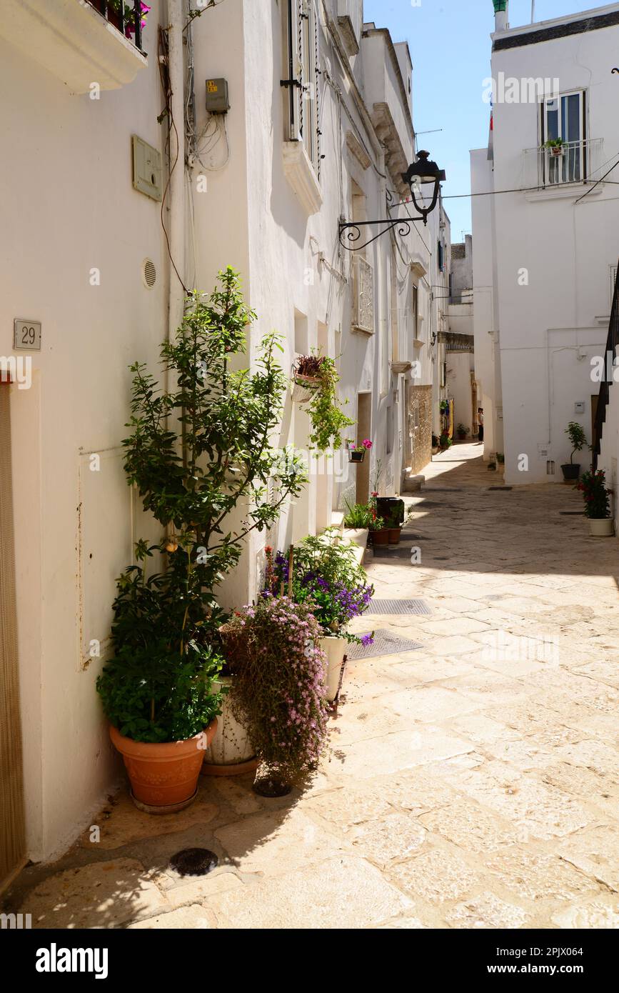 Old Town, Locorotondo is on a 400 meters high hill on the plateau ...