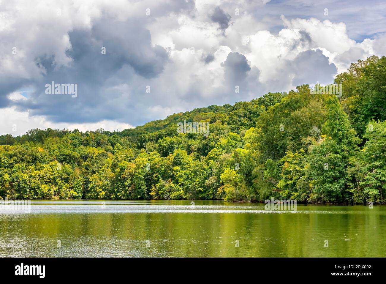 Forest trees line the banks of the Holston River in Kingsport, Tennesse ...
