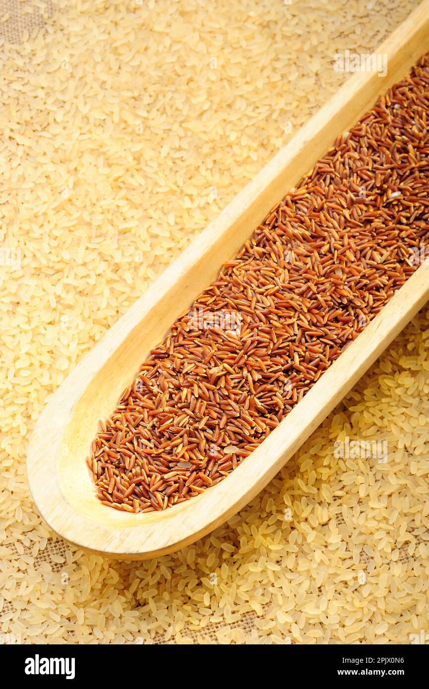 There are numerous varieties of rice: paraboiled and Red Wild Rice ...