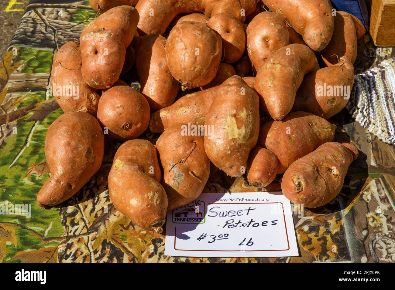Knoxville, Tennessee, USA - March 25, 2023: Close up of a small pile of ...