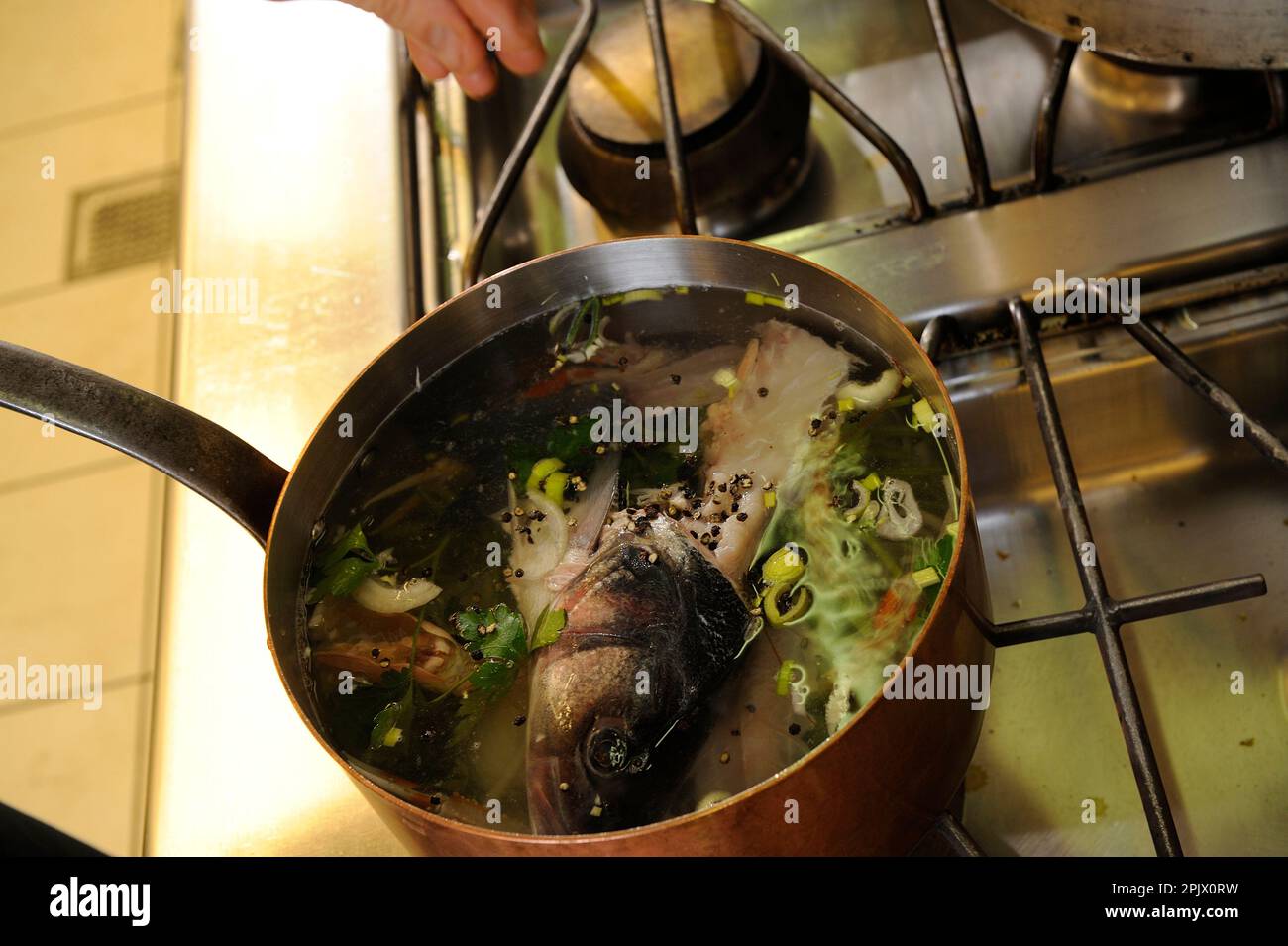 Preparation of fish broth Stock Photo - Alamy