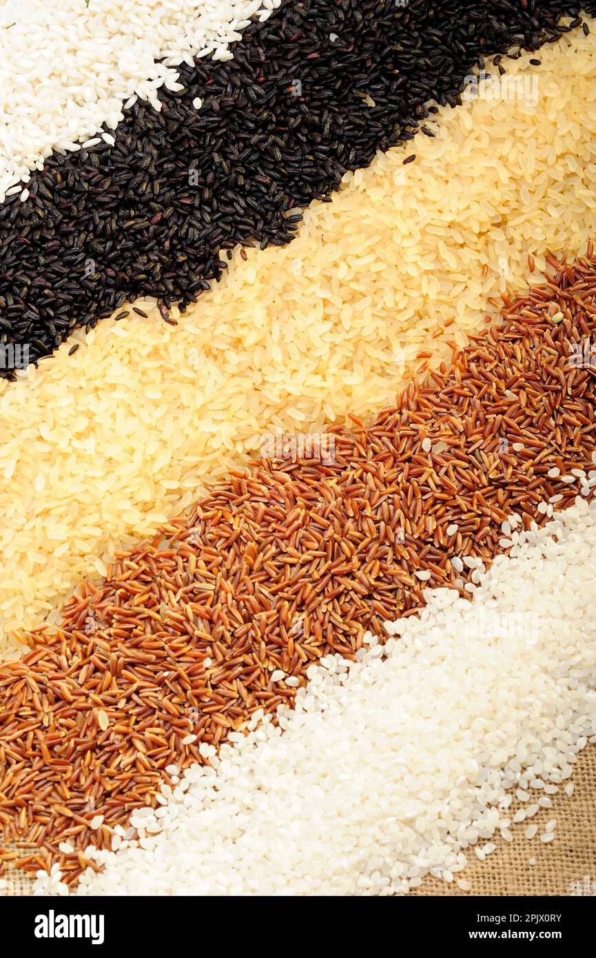 There are numerous varieties of rice: Carnaroli, Basmati, Venere black ...