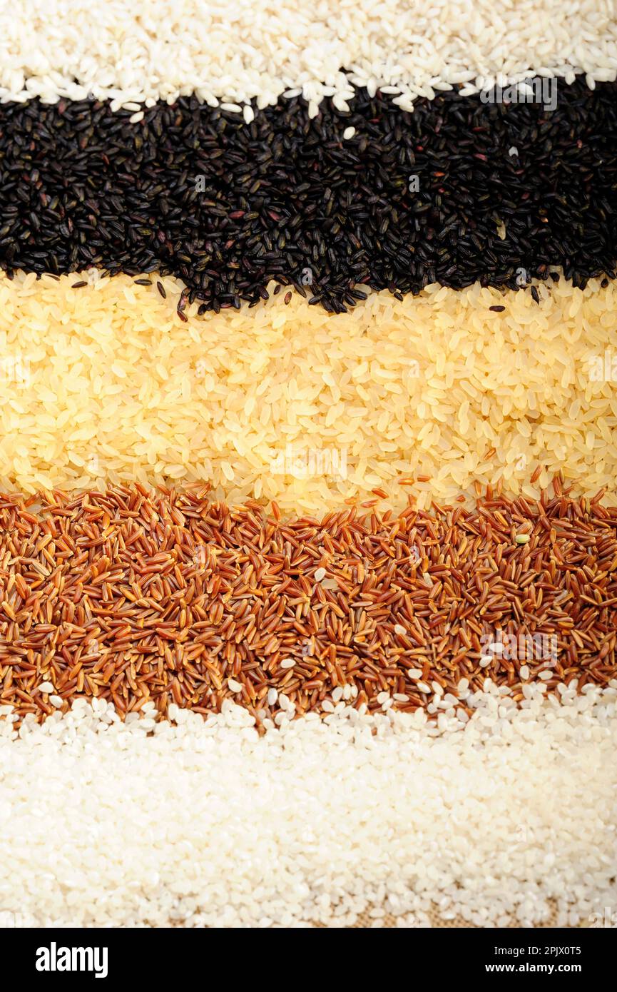 There are numerous varieties of rice: Carnaroli, Basmati, Venere black ...