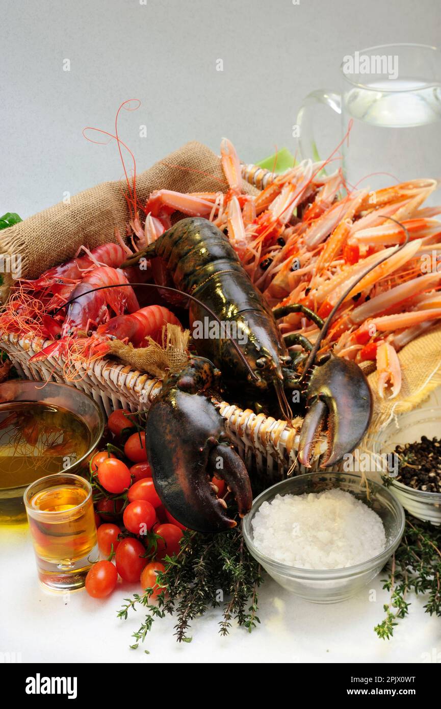 Lobster, prawns and scampi ready to be cooked, Italy, Europe Stock ...
