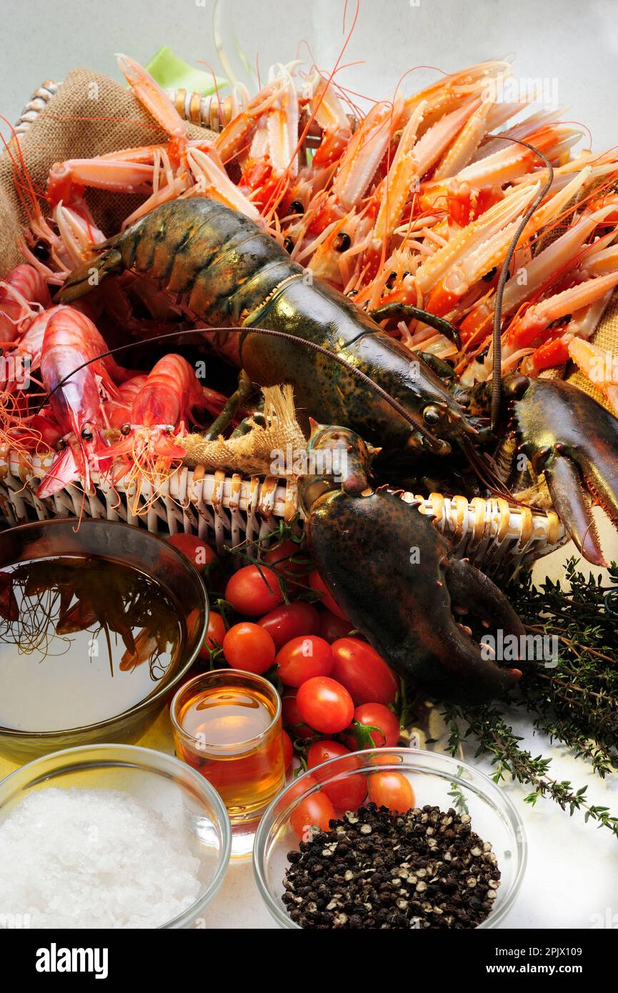 Lobster, prawns and scampi ready to be cooked, Italy, Europe Stock ...