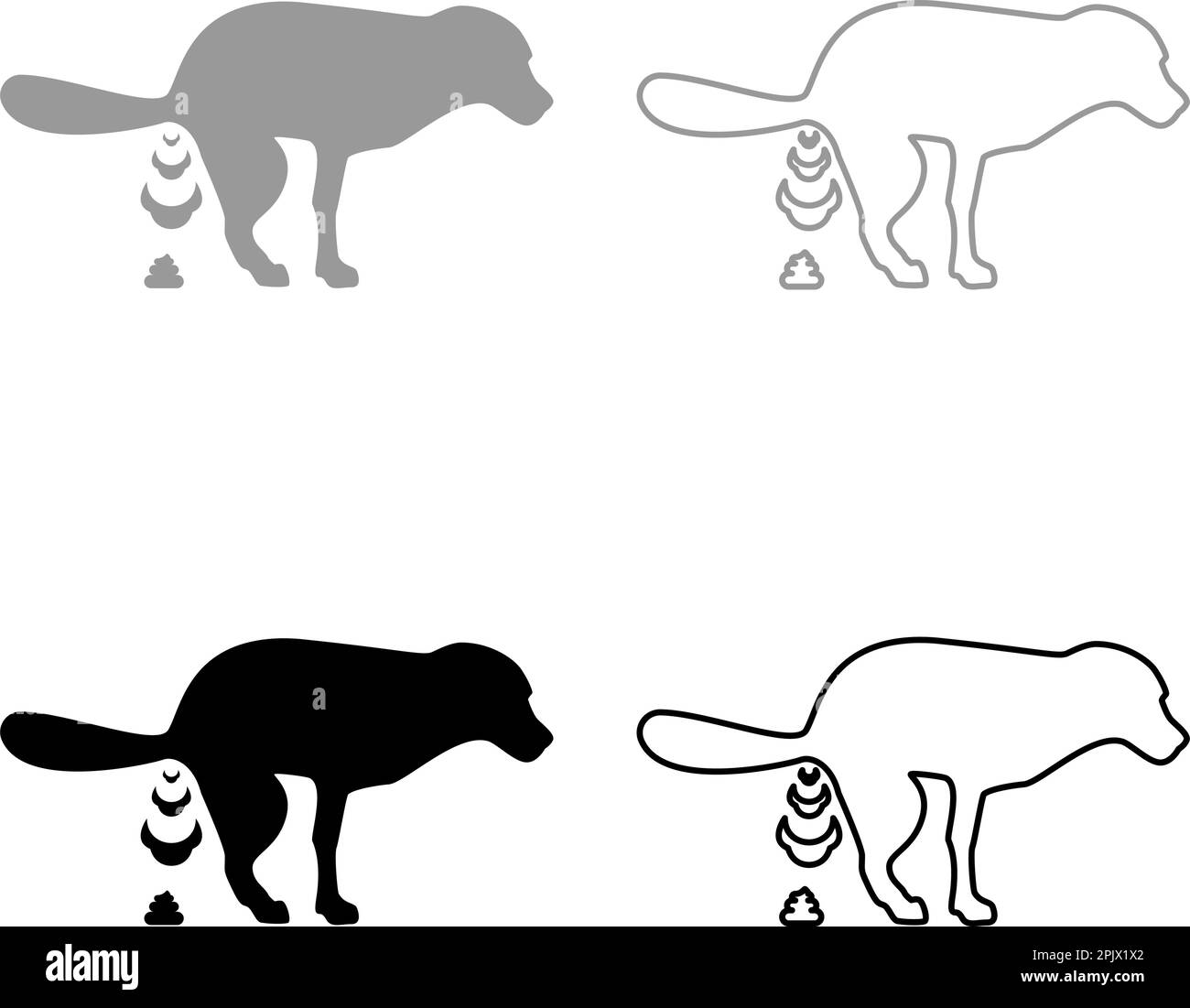 Dog defecation poke pooping pet feces doing its toilet concept of place ...