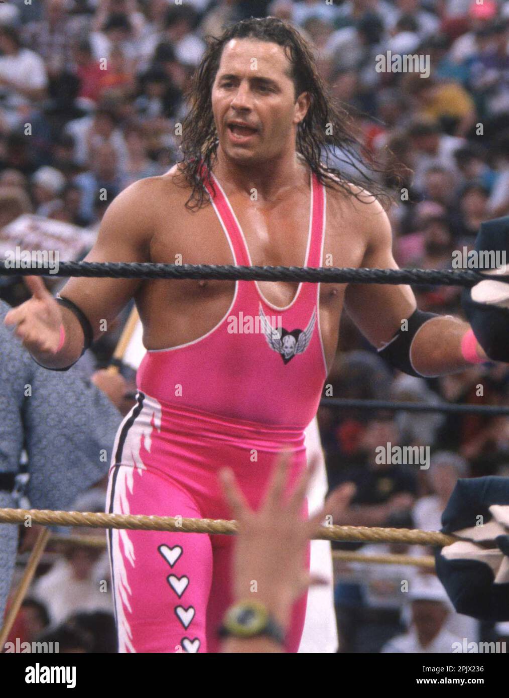 1993 Bret Hart Photo by John Barrett/PHOTOlink Stock Photo - Alamy