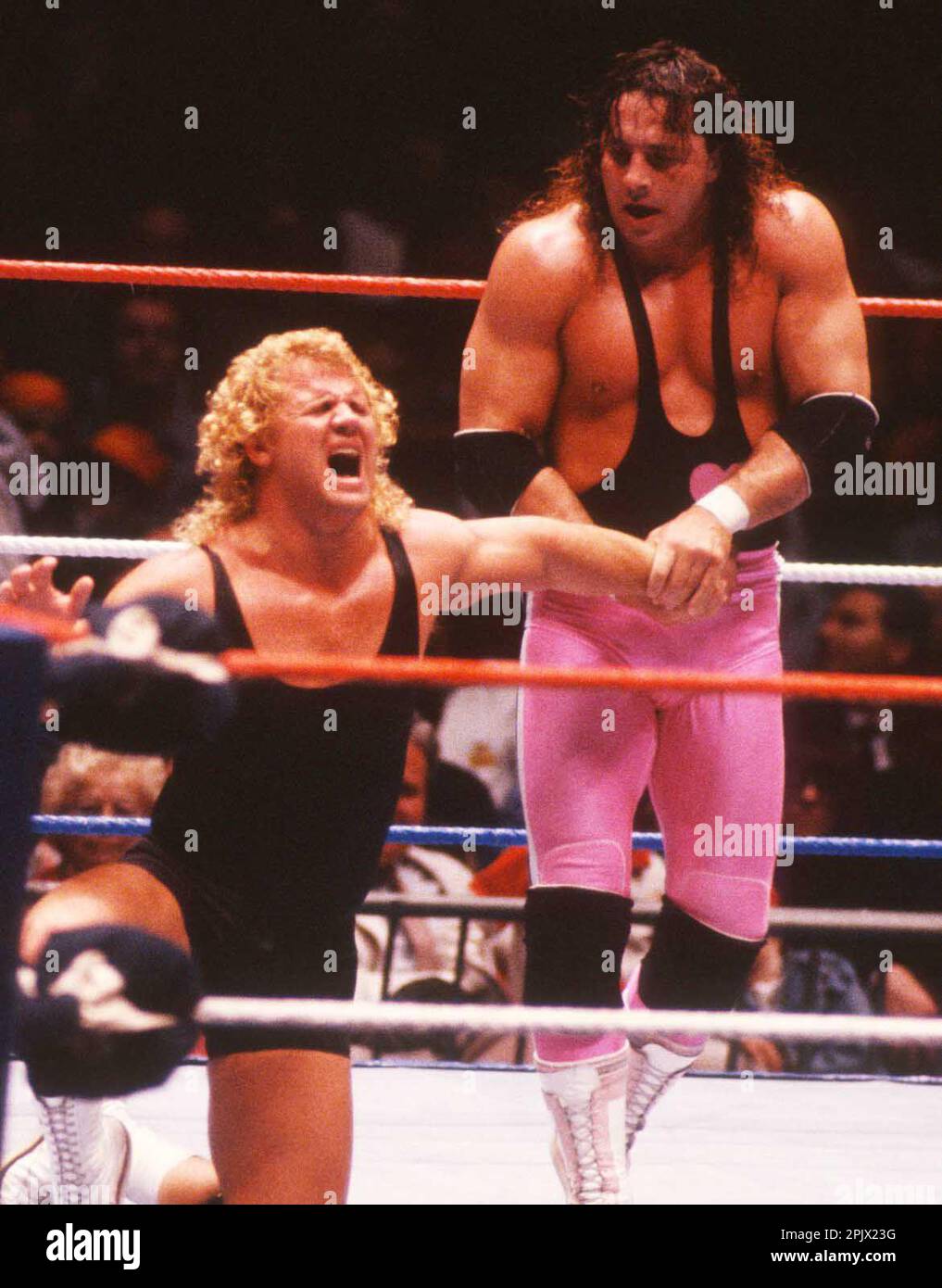 1989 Bret Hart Mr Perfect Photo by John Barrett/PHOTOlink Stock Photo ...