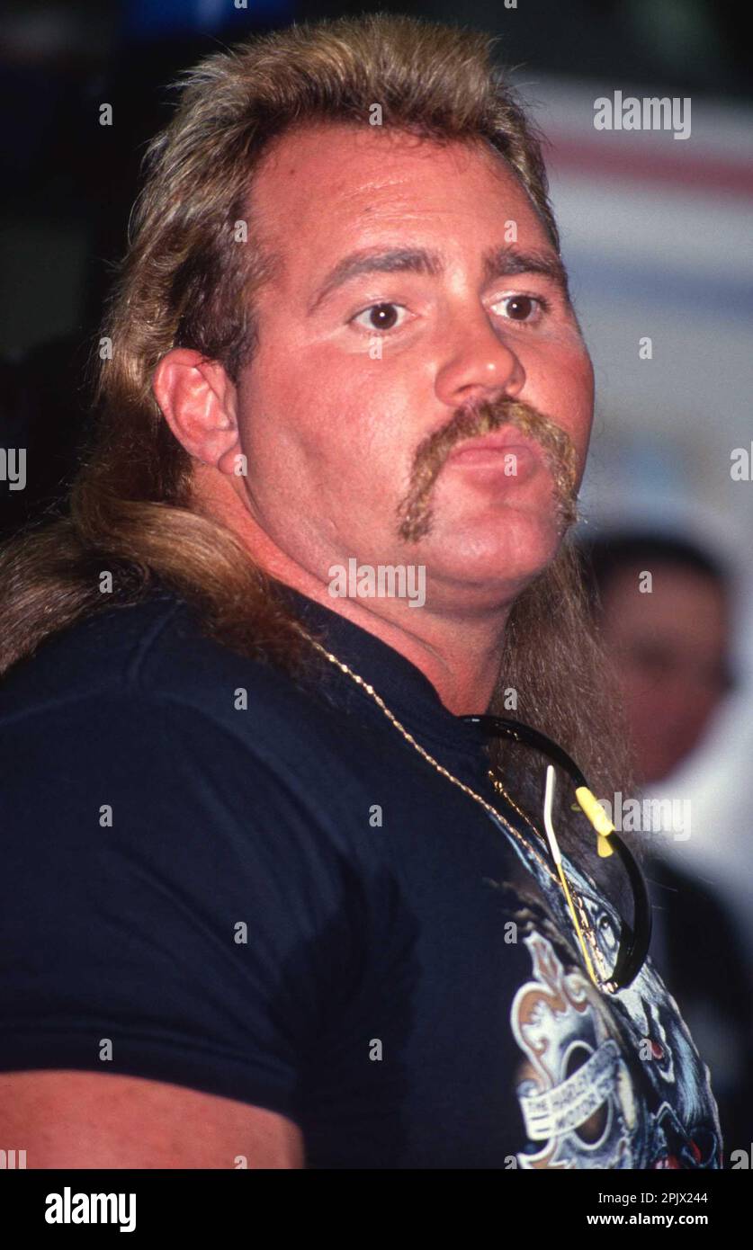 1990 Brutus Beefcake Photo by John Barrett/PHOTOlink Stock Photo - Alamy