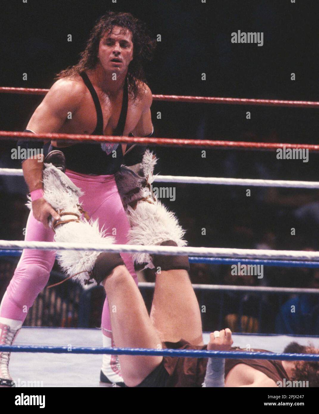 1987 Bret Hart Photo by John Barrett/PHOTOlink Stock Photo - Alamy