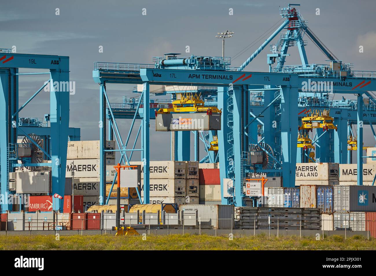 Cranes for cargo containers in freight terminal Stock Photo - Alamy