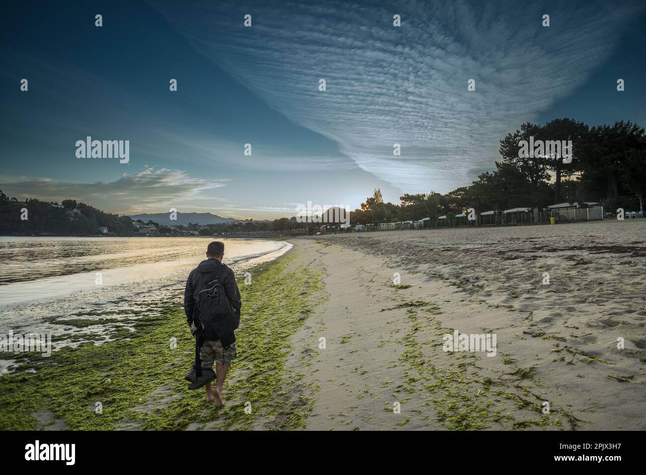 Fine algae hi-res stock photography and images - Alamy