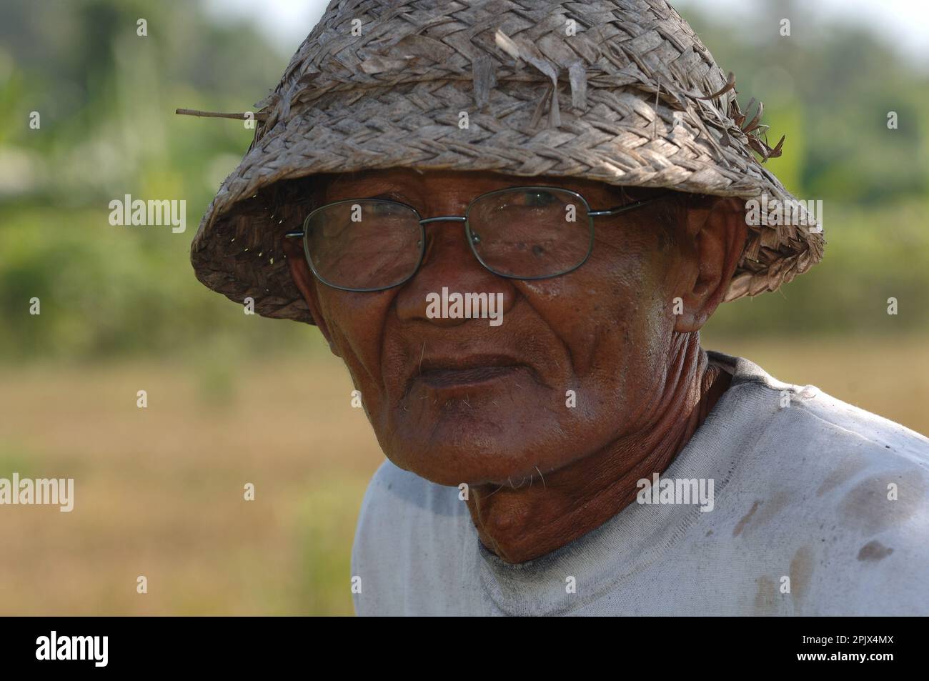 peanuts collector in Bali during thei lunch break Stock Photo - Alamy