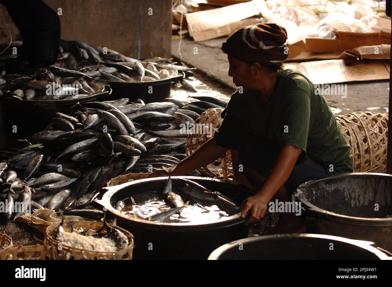 Salting and drying of freshly caught fish in the fishing village of ...