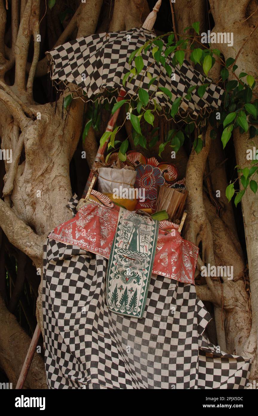 Offerings in a sacred place on a tree, Bali Stock Photo - Alamy