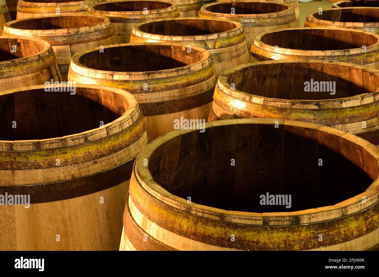 Handcrafted construction of barrels at Gamba Botti, Castell'Alfero Asti ...