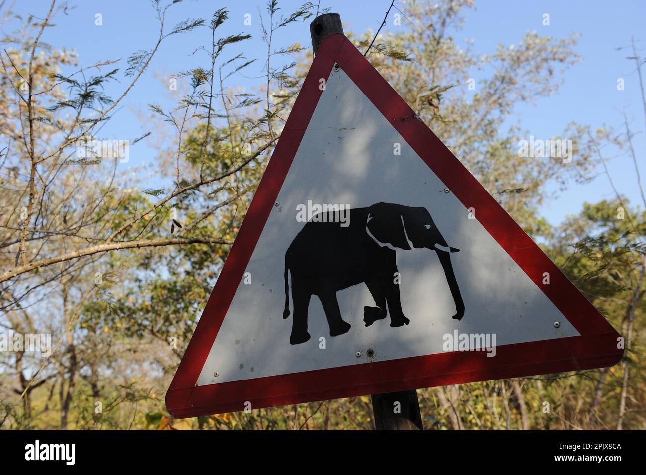 Elephant warning sign. Picture taken at the rehabilitation centre ...