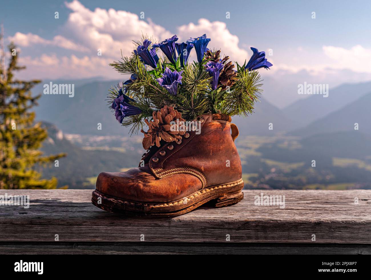 An aged leather boot filled with a bright bouquet of blue flowers, atop ...