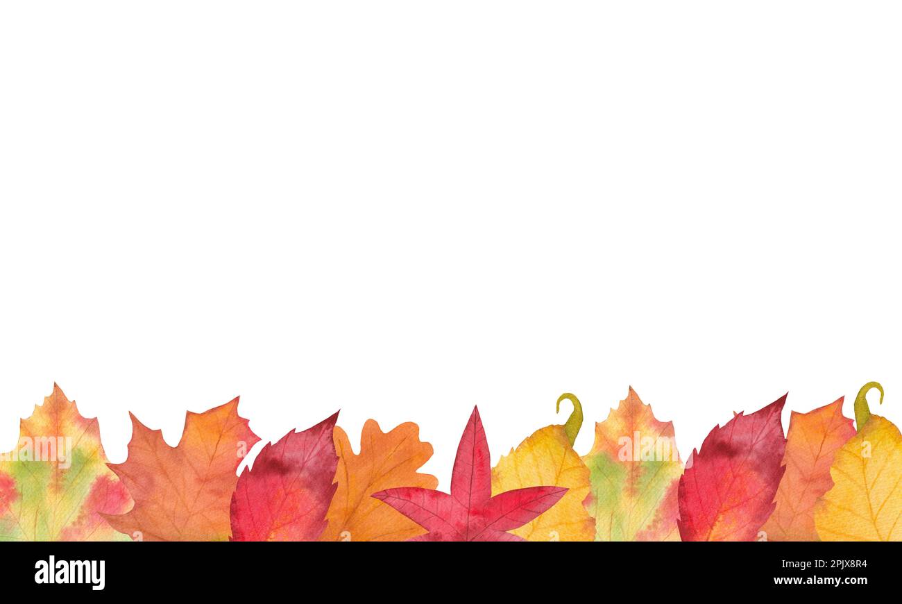 Watercolor Autumn Fall border. Leaf frame. Botanical illustration ...