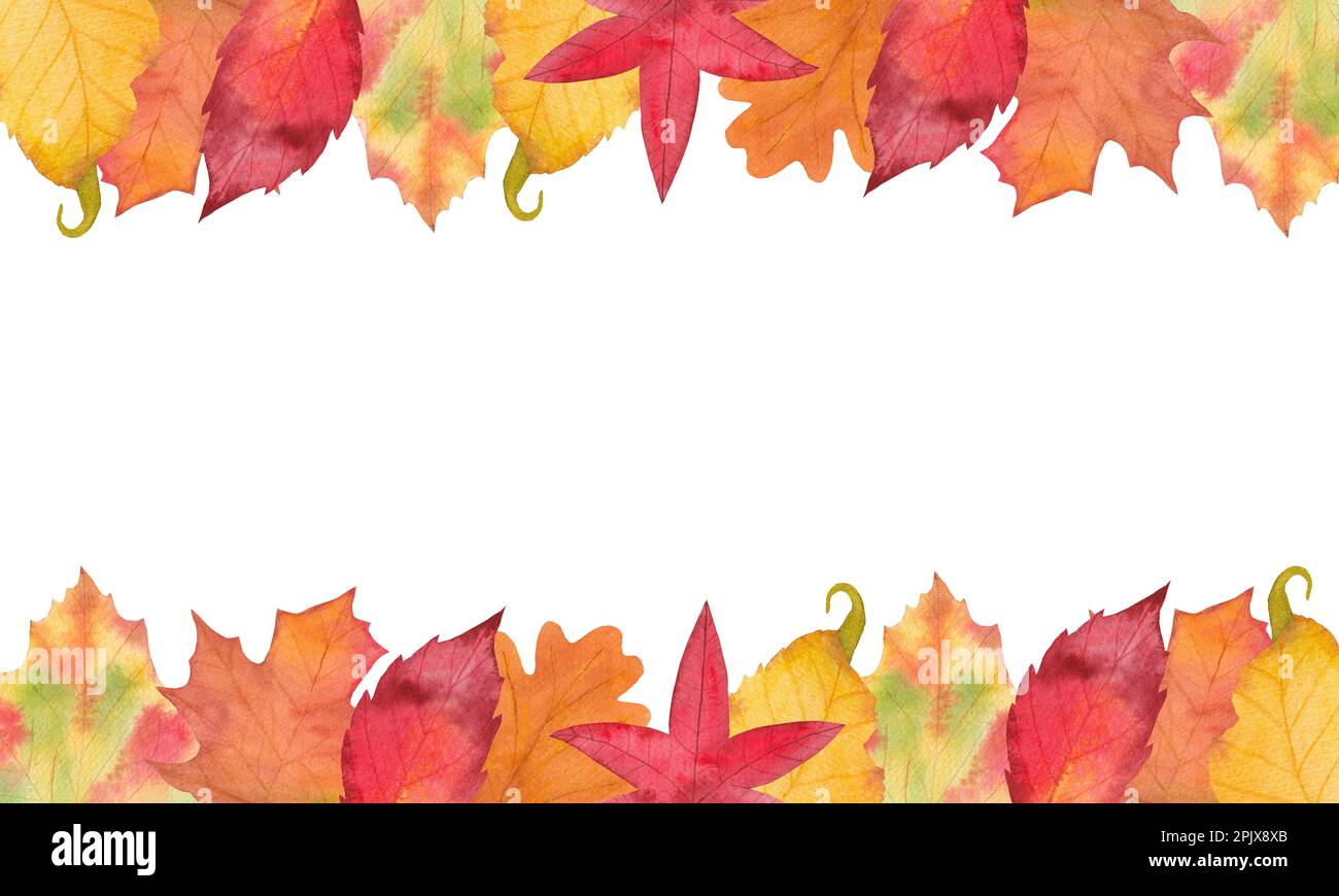 Watercolor Autumn Fall border. Leaf frame. Botanical illustration ...