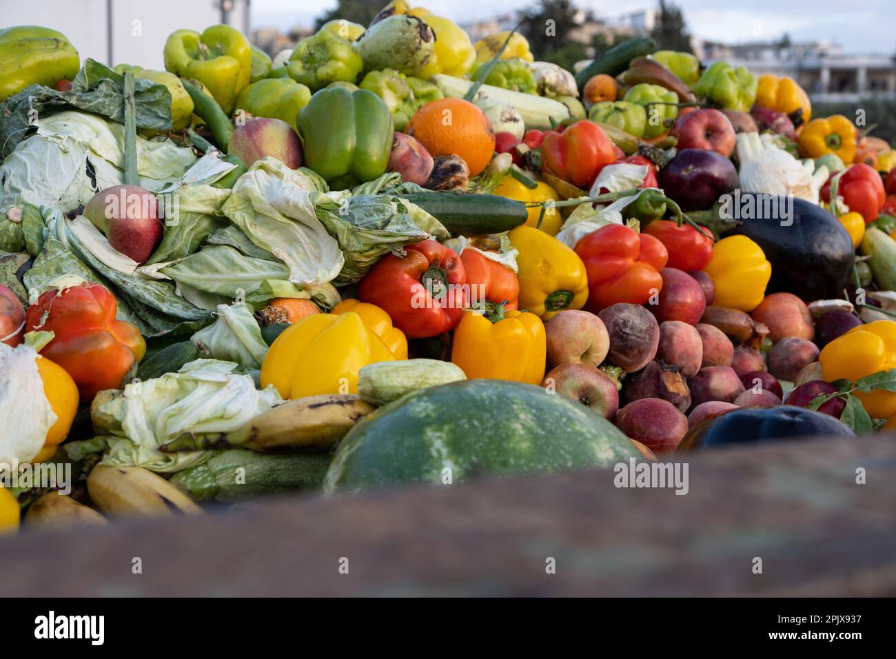 Expired Organic bio waste. Mix Vegetables and fruits in a huge ...