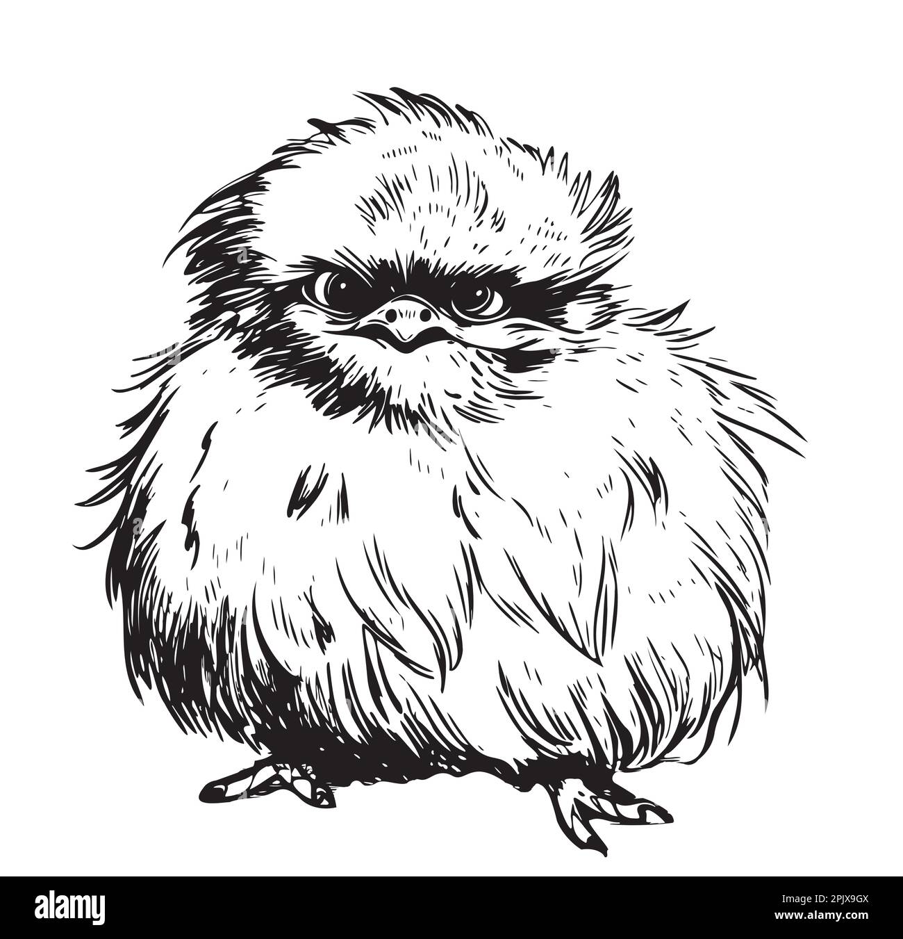 Silkie hen sketch hand drawn in doodle style illustration Stock Vector ...