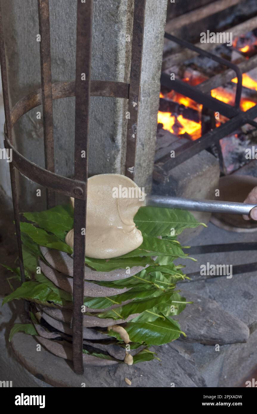 Necci chestnut hi-res stock photography and images - Alamy