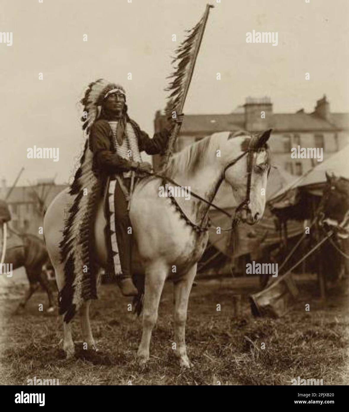 Iron tail hi-res stock photography and images - Alamy