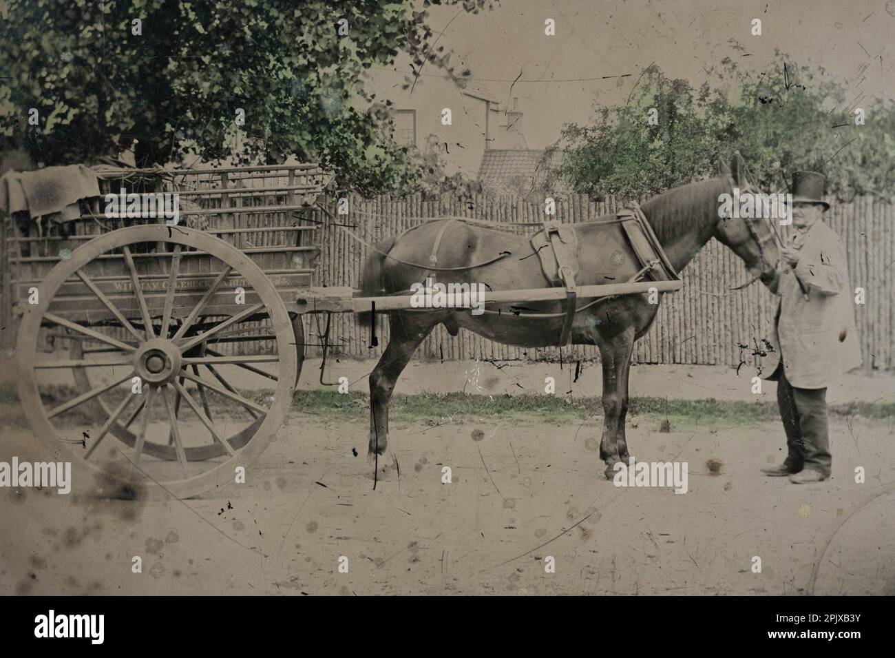 William colebeck hi-res stock photography and images - Alamy