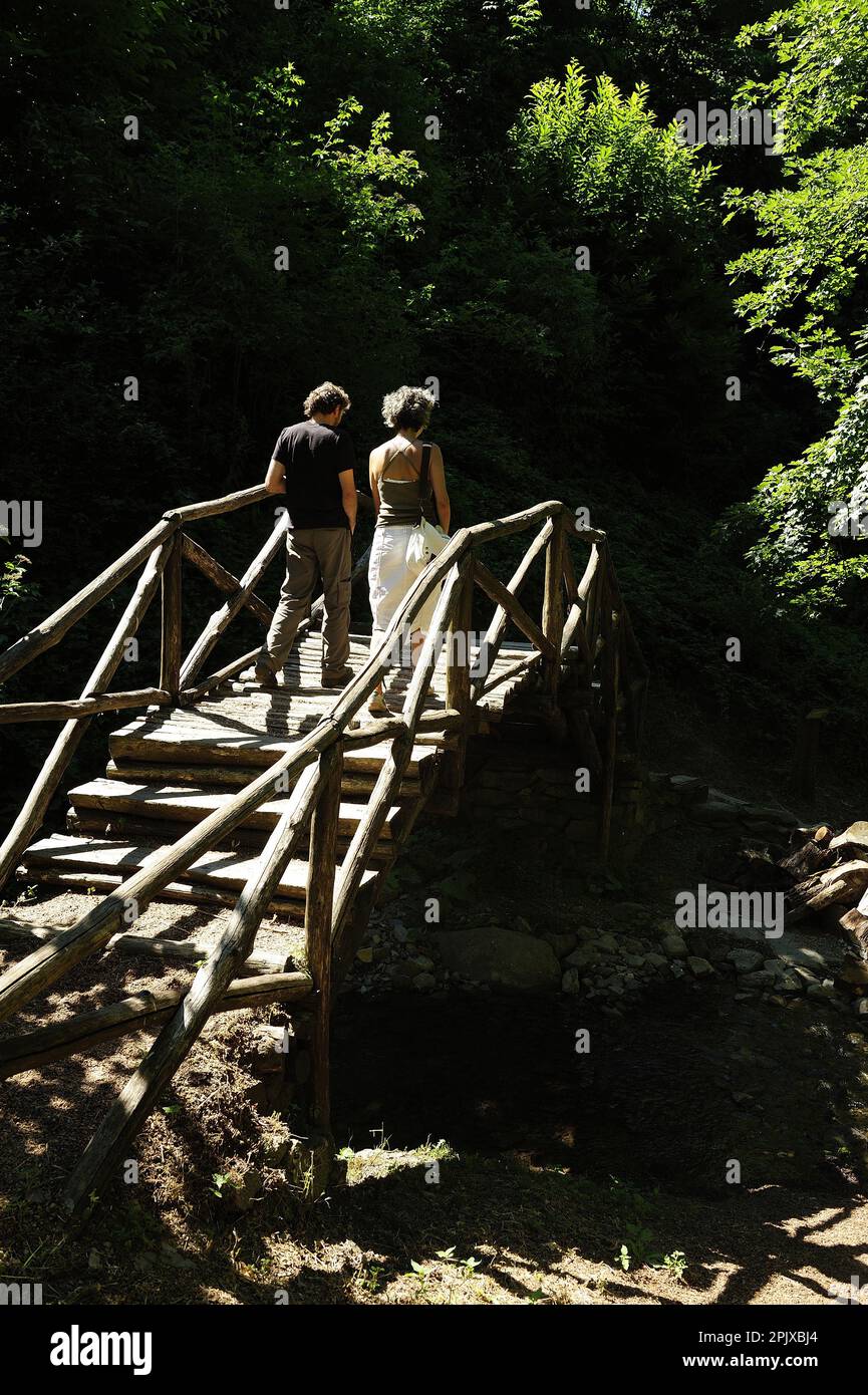 A wooden bridge built following a design by Leonardo Da Vinci. Orsigna ...