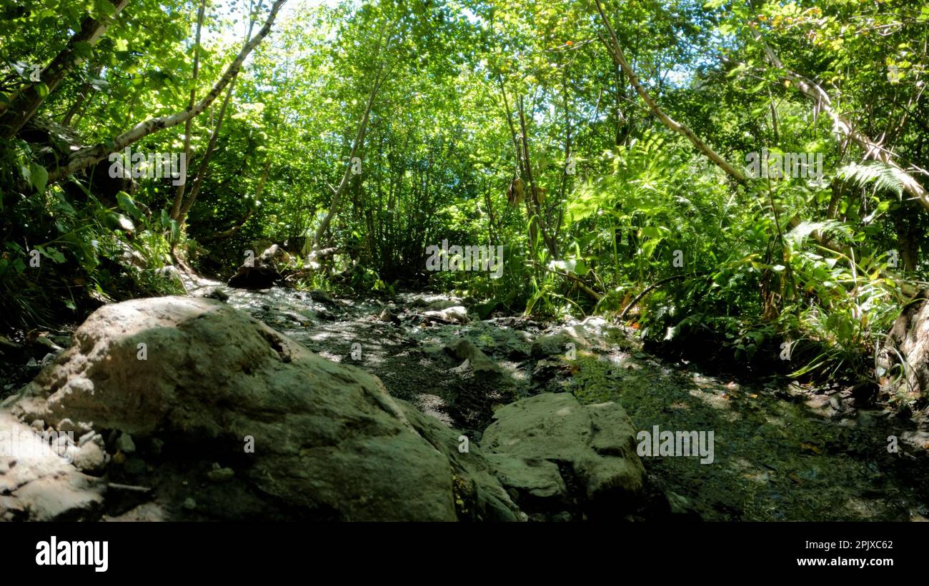 mountain ridge rough backpacking dirty road with no bitumen cover ...