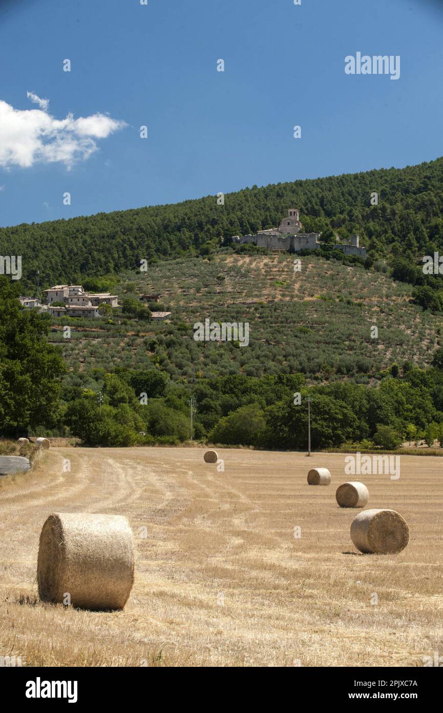 Summer landscape of the countryside in Poreta; Perugia; Italy; Europe ...
