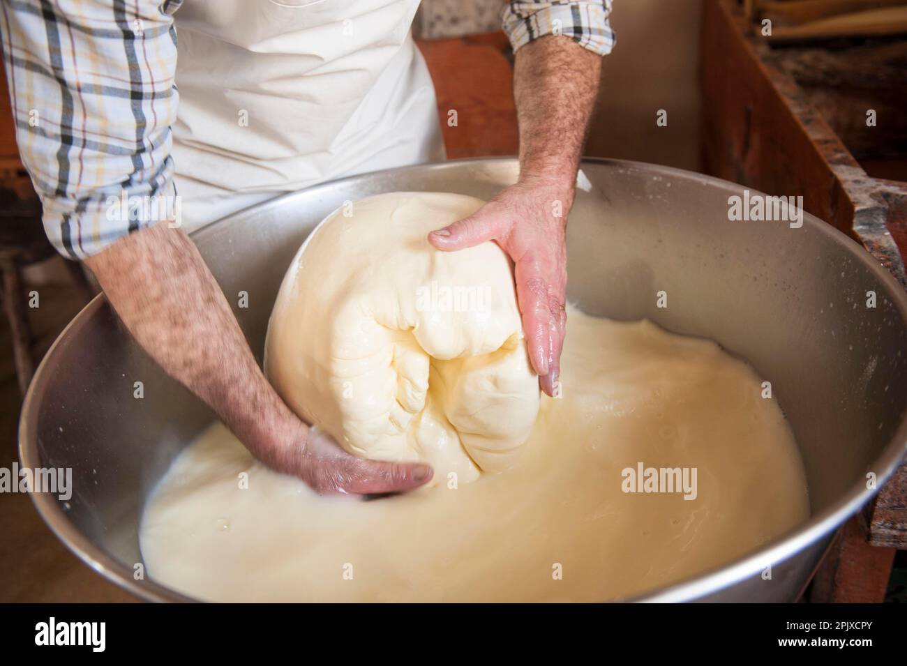 Processing of Ragusano DOP cheese with milk from Modica cows at the ...