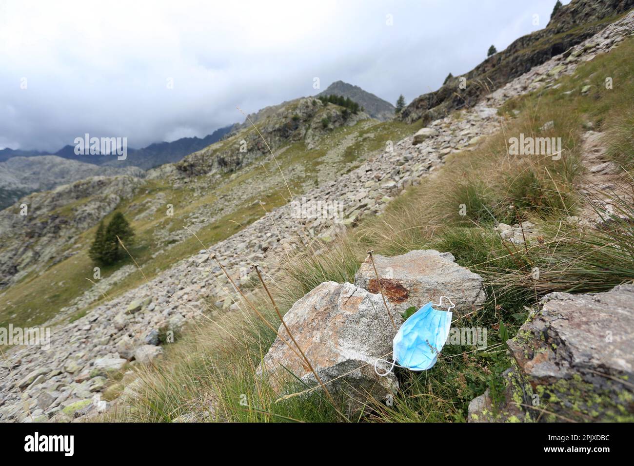 Chirurgical mask lying down into the nature, Parc national du ...
