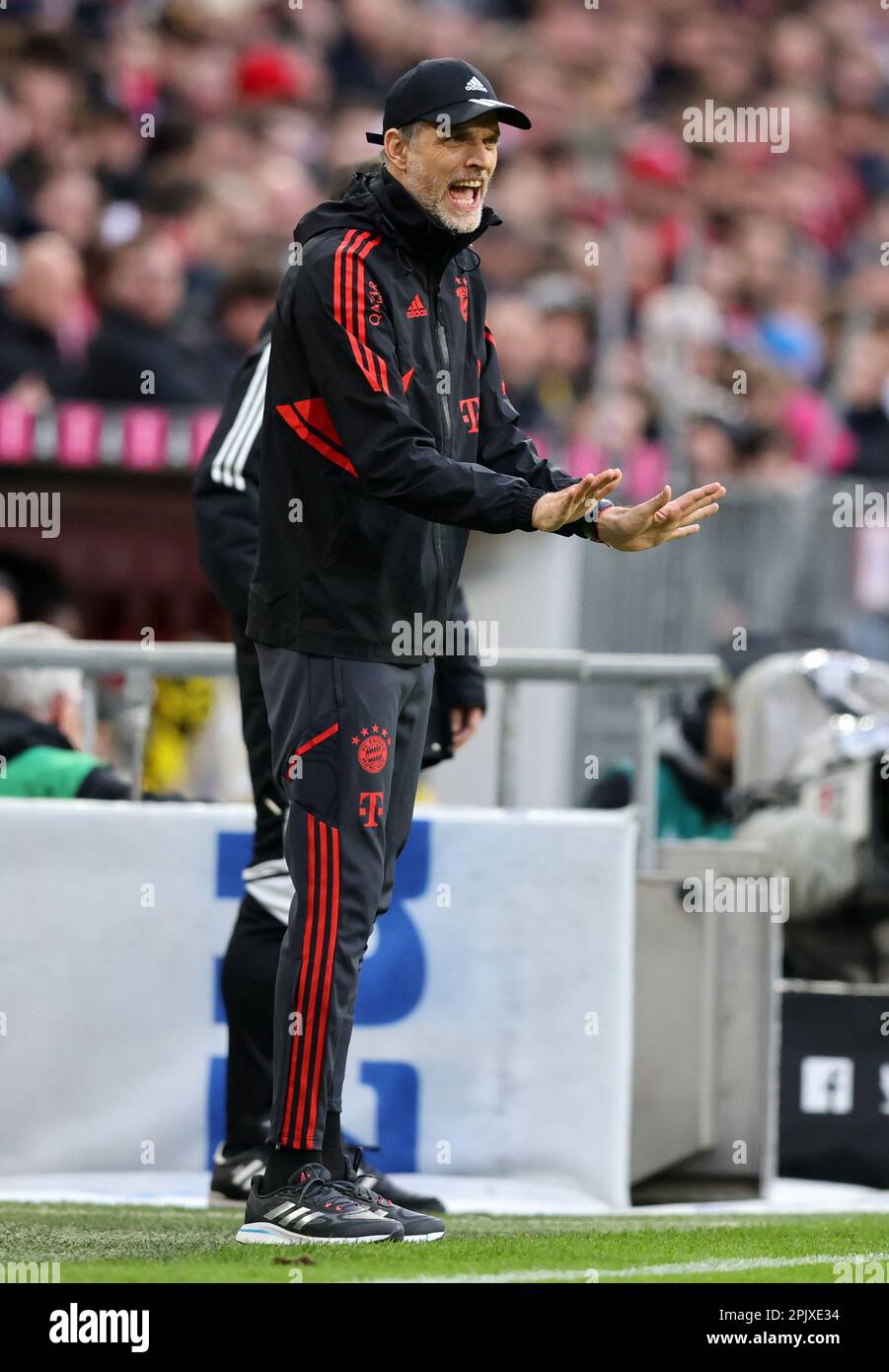 Coach Thomas Tuchel of Bayern Muenchen Fussball 1 . Bundesliga Saison ...