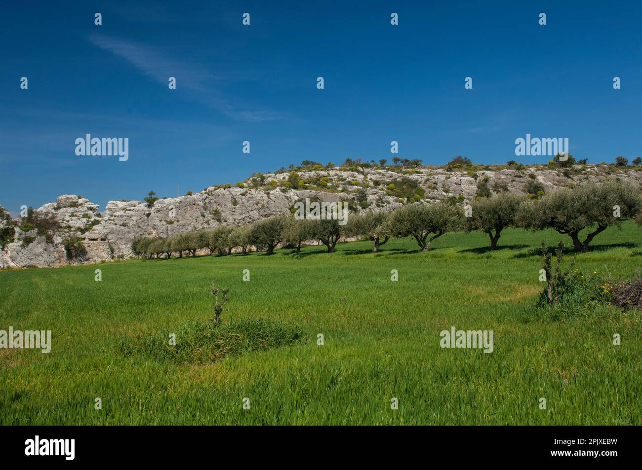 Cava d'Ispica, park near the village of Ispica, Ragusa, Sicily, Italy ...