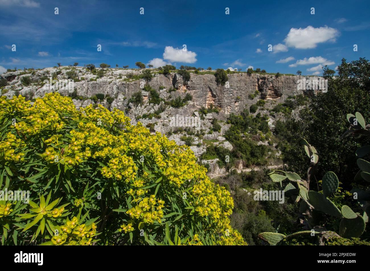 Cava d'Ispica, park near the village of Ispica, Ragusa, Sicily, Italy ...
