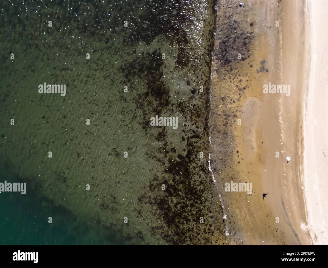 An aerial view over the salt marsh and wetlands in Freeport, New York ...
