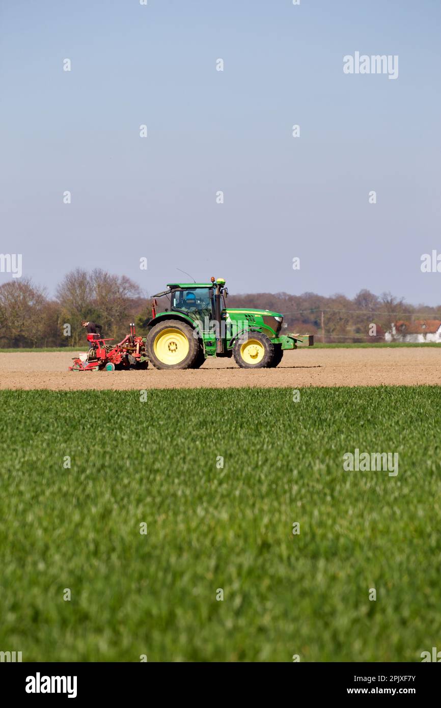 Sowing a hi-res stock photography and images - Alamy