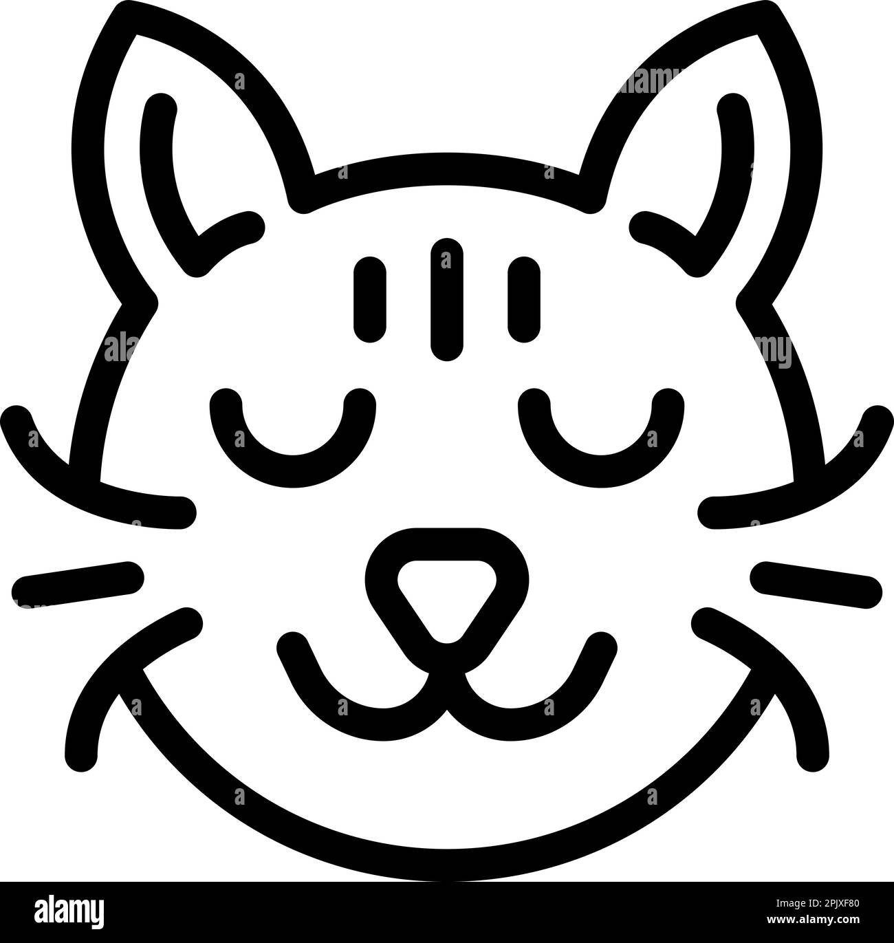 Bandage pet veterinary cat dog Cut Out Stock Images & Pictures - Alamy