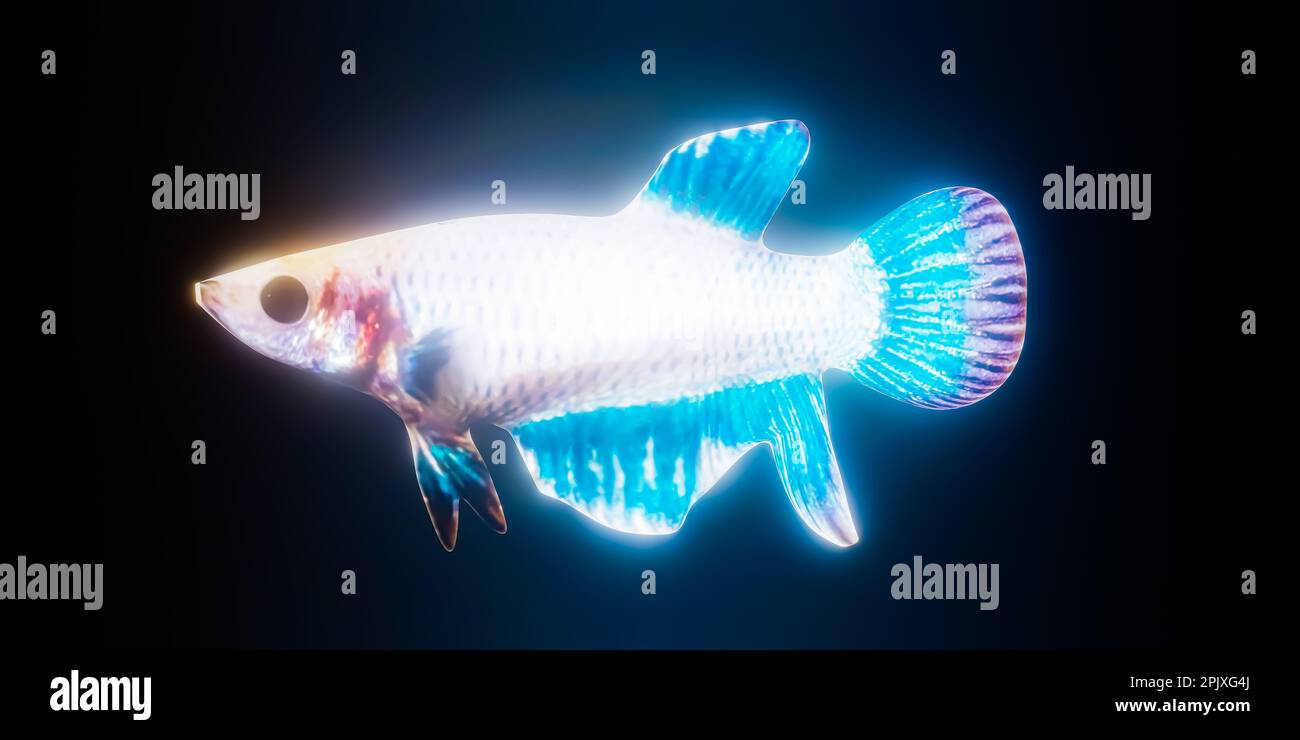 3d holograms hi-res stock photography and images - Alamy