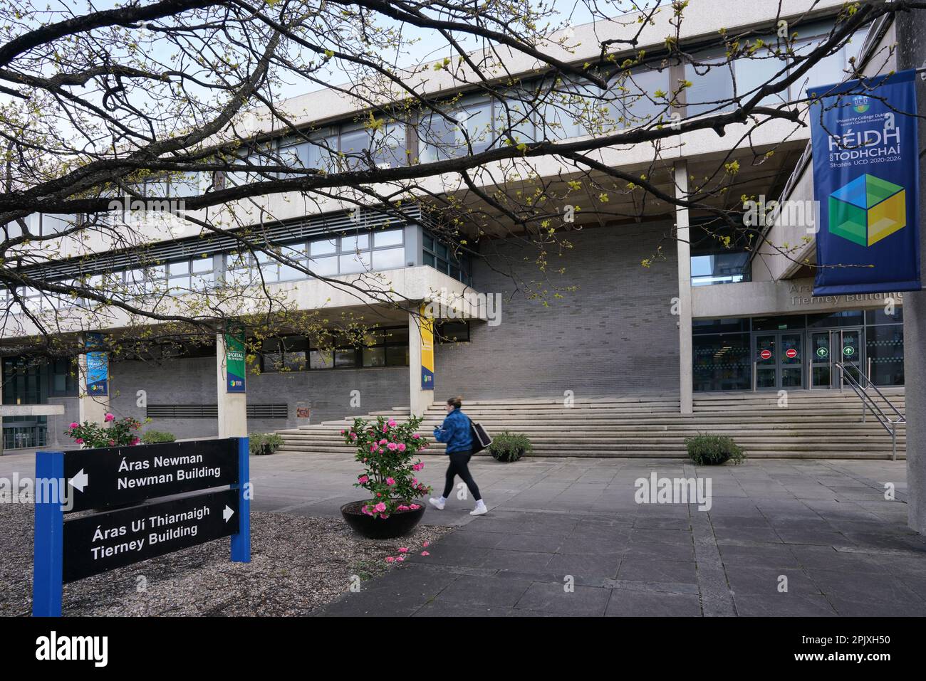 Suburban campus of University College, Dublin, with modern buildings ...